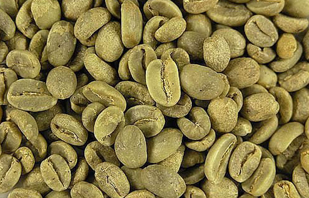 XM Agro Business | xmagrobusiness.com